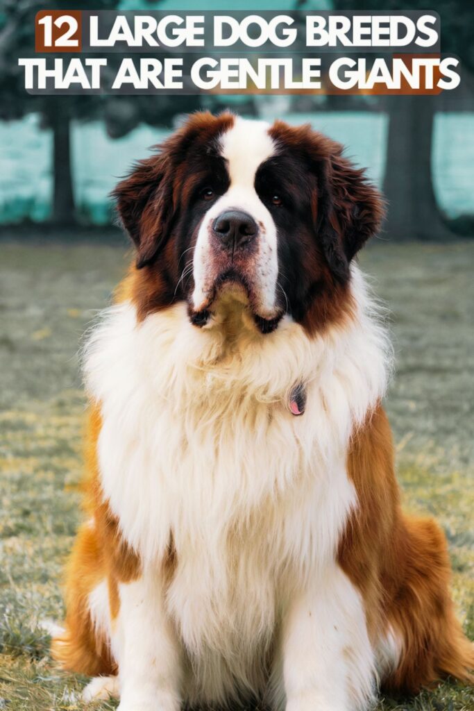 12 Large Dog Breeds That Are Calm and Perfect for Families
