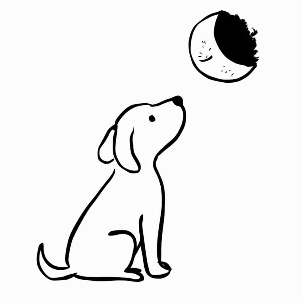 Simple Dog Drawings for Beginners - A Minimalistic Collection