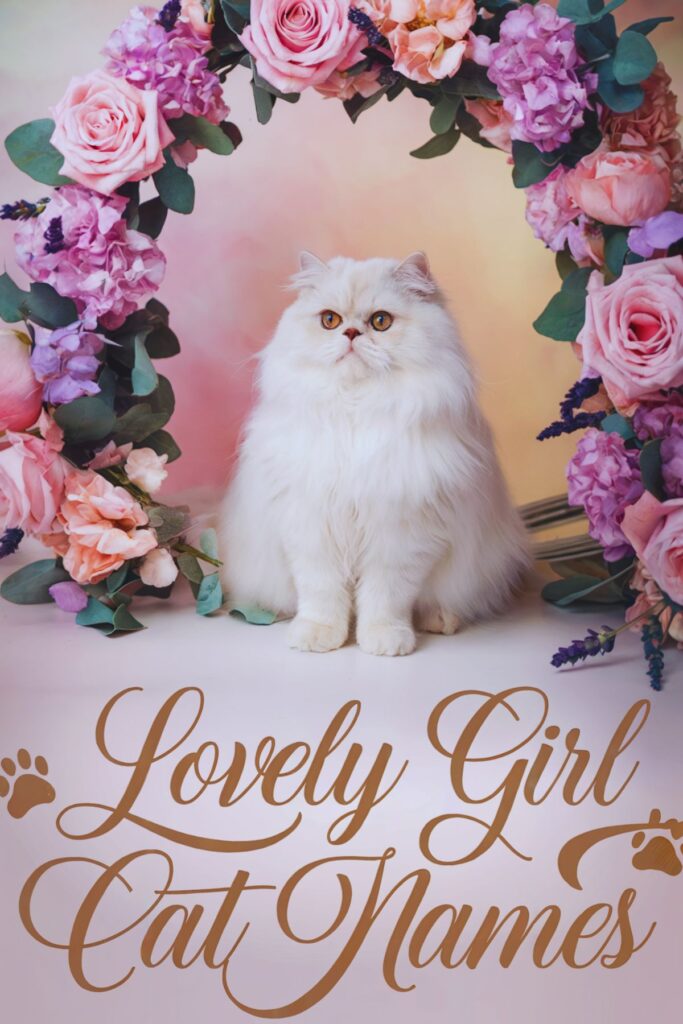 Unique Girl Cat Names: Ideas to Make Your Furry Friend Stand Out