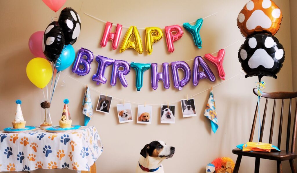 Throwing the Perfect Dog Birthday Party: 21 Amazing Ideas