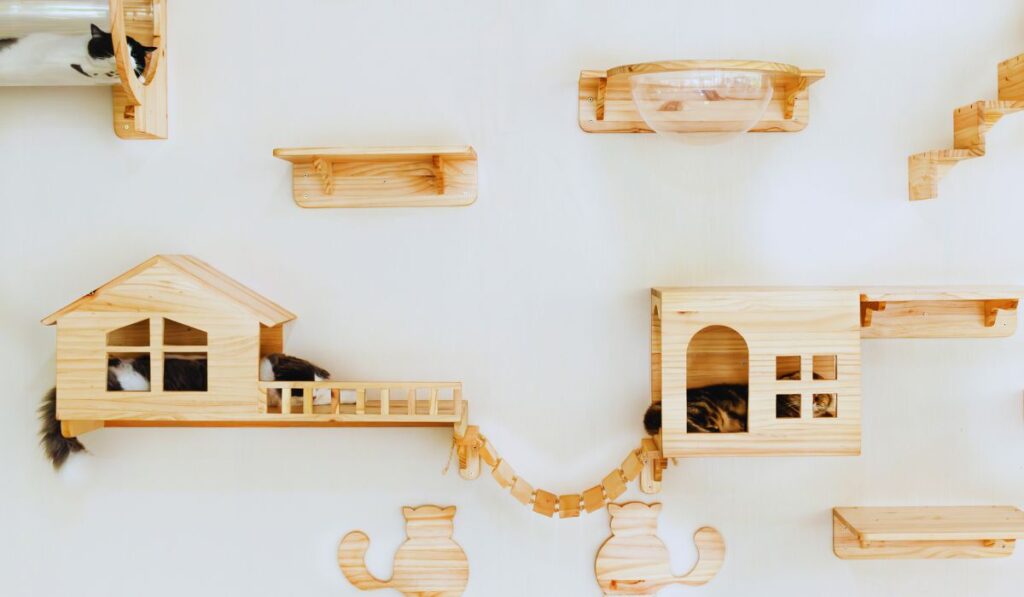 DIY Cat Stuff on a Budget: Creative Hacks for Cat Owners