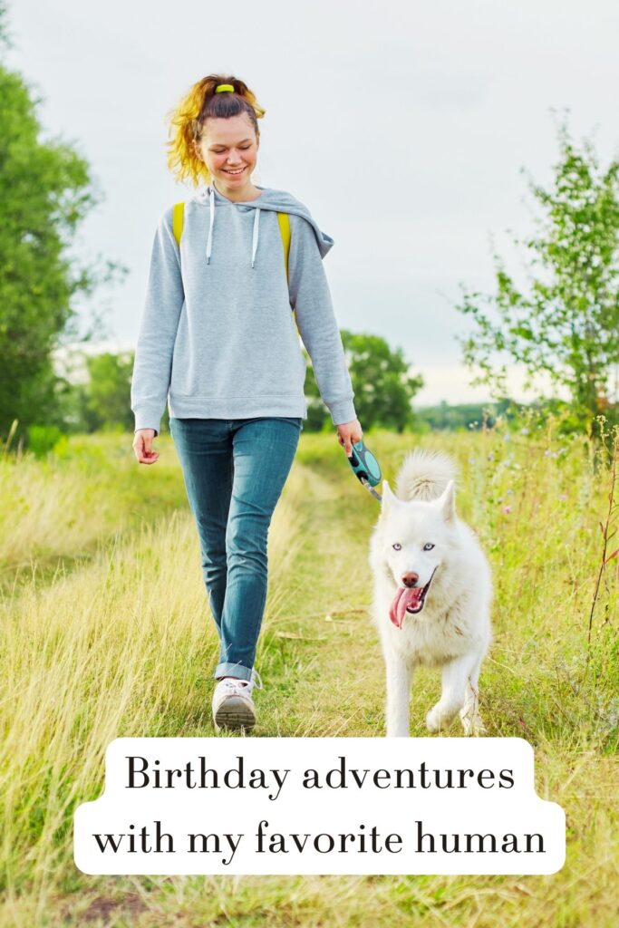20 Dog Birthday Instagram Story Ideas