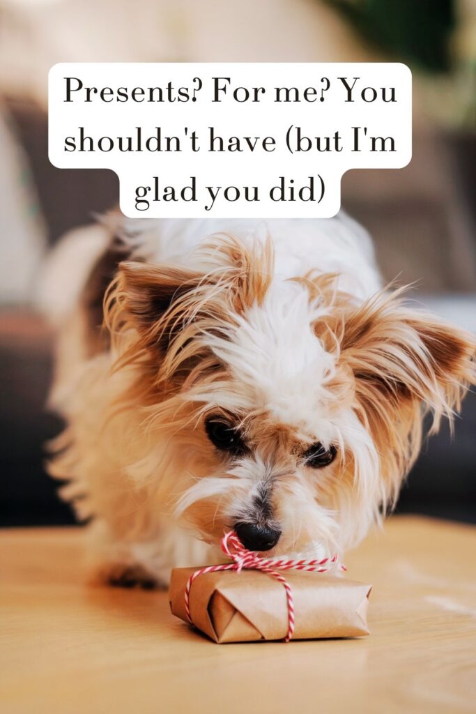 20 Dog Birthday Instagram Story Ideas