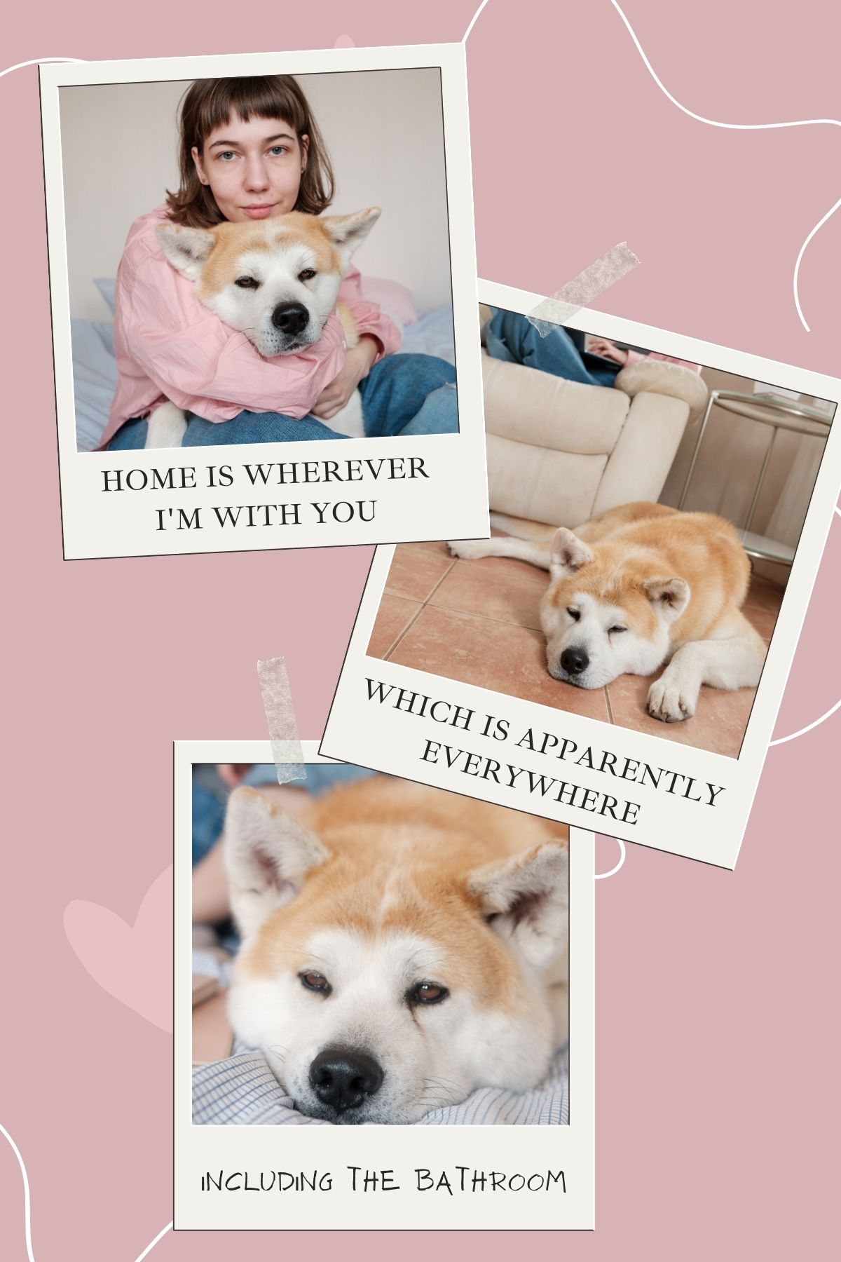 150+ Dog Instagram Story Captions & Ideas That'll Make Everyone Double-Tap