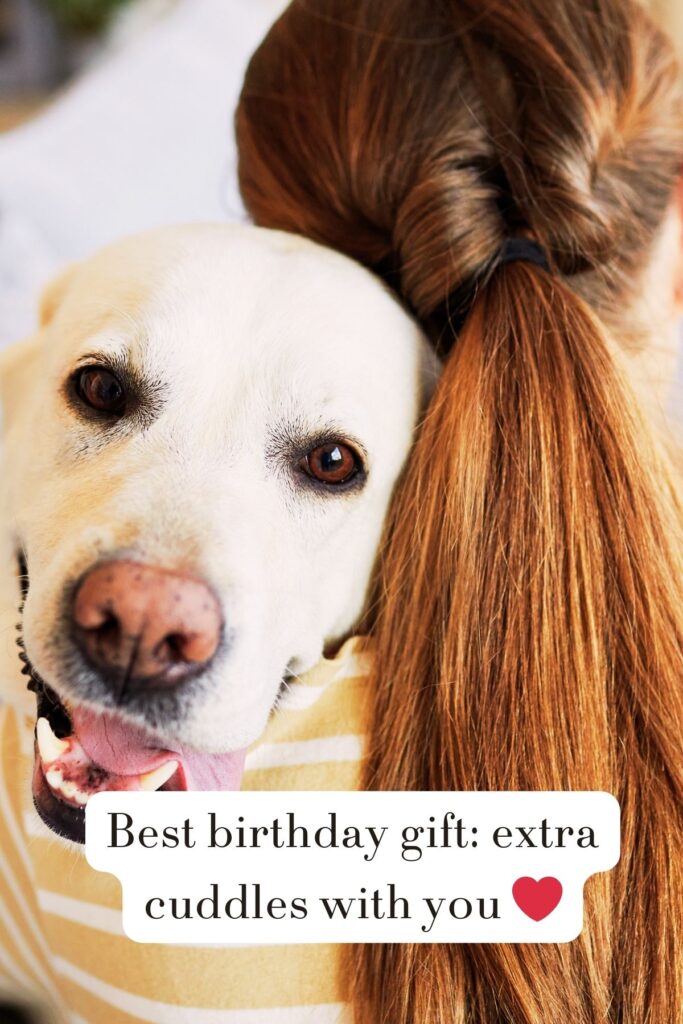 20 Dog Birthday Instagram Story Ideas