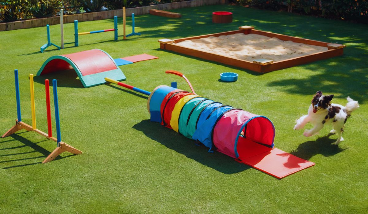 Dog Run Ideas for Backyard: Creating the Perfect Space for Your Pup ...